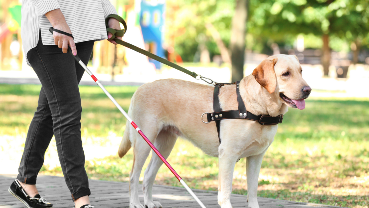 Wireless in the Blind and Low Vision Community - ACTwireless